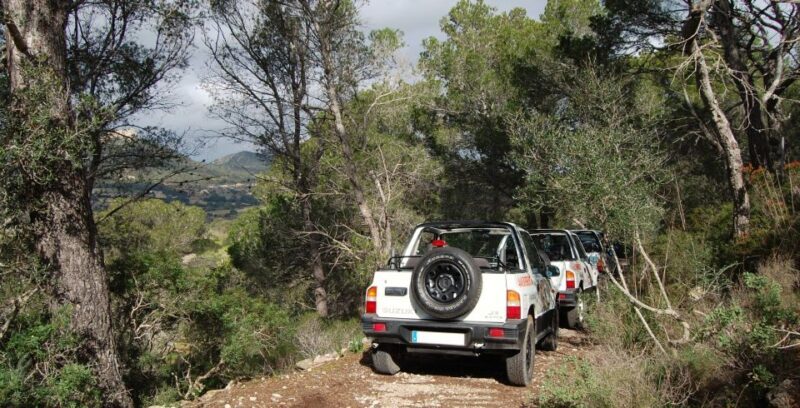 Mallorca: Beach and Mountain 4X4 Tour - Key Points