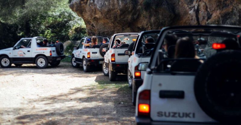 Mallorca: Beach and Mountain 4X4 Tour - What Is the Mallorca Beach and Mountain 4X4 Tour?