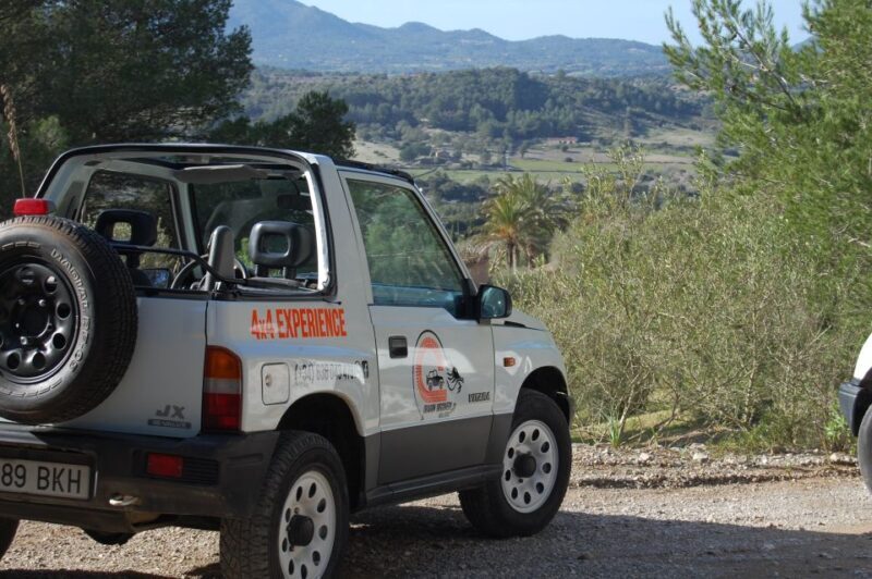 Mallorca: Beach and Mountain 4X4 Tour - The Driving Experience: Fun and Safety