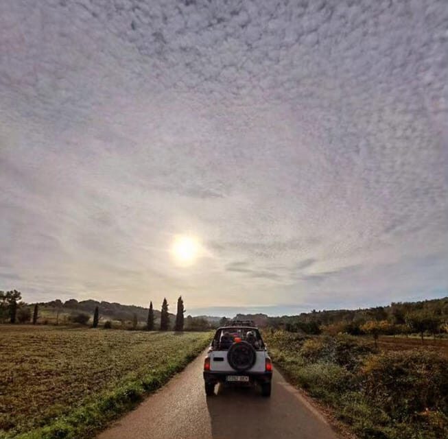 Mallorca: Beach and Mountain 4X4 Tour - The Value and Price
