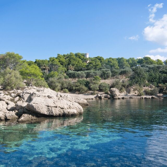 Mallorca: Boat Transfer between Port Andratx and Sant Elm - Practical Considerations