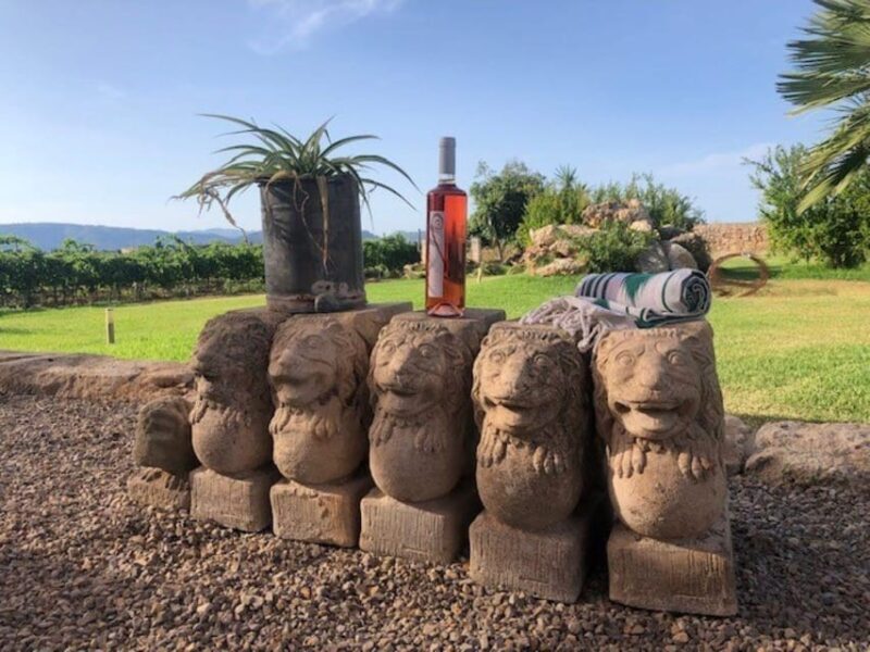 Mallorca: Bodega Butxet Vineyards & Winery Tour with Tasting - An In-Depth Look at the Mallorca Bodega Butxet Experience