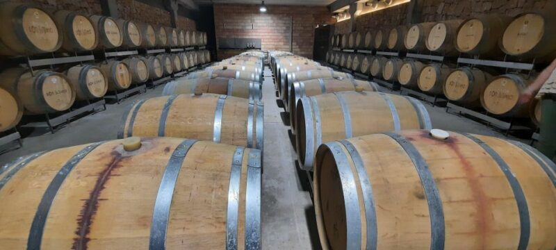 Mallorca: Bodega & Olives Minibustour with wine/oil tasting - What Makes This Special?