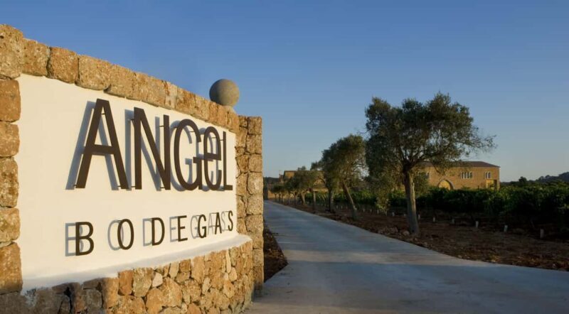 Mallorca: Bodegas Ángel Winery Tour with Wine Tasting - An In-Depth Look at the Mallorca: Bodegas Ángel Winery Tour