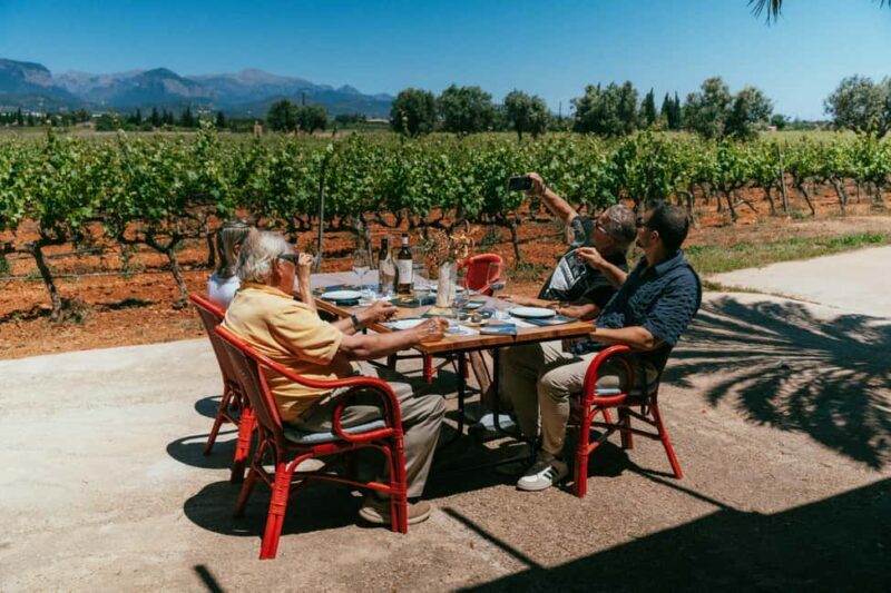 Mallorca: Bodegas Ángel Winery Tour with Wine Tasting - Final Thoughts