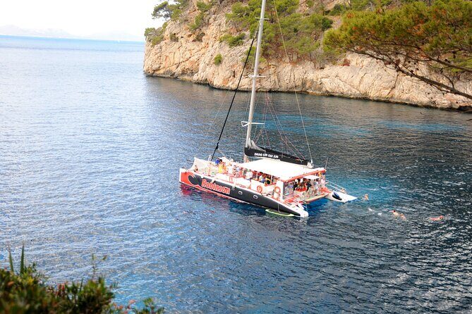 Mallorca Catamaran Tour in the Bay of Pollensa - Authentic Insights from Reviews