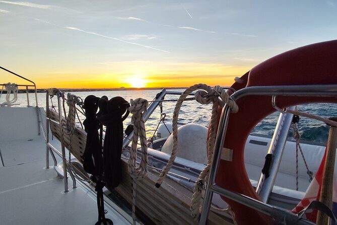 Mallorca Catamaran Tour with Tapas - small group - - Pricing & Value