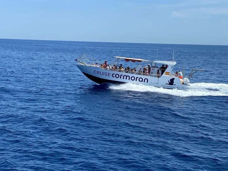 Mallorca: Caves, Cliffs, and Coves Boat Trip - Final Thoughts