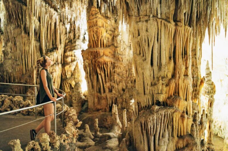 Mallorca: Caves of Drach Day Trip & Optional Caves of Hams - The Sum Up