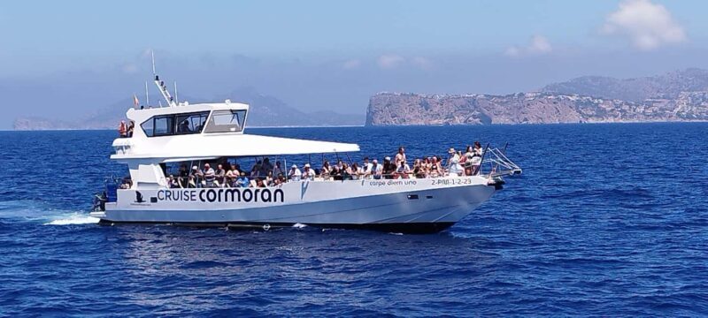 Mallorca: Coastal Cruise to Port of Andratx with swim stop - Final Thoughts: Is This the Tour for You?