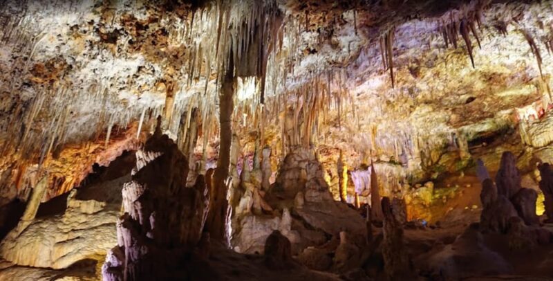 Mallorca: Day Trip to Caves of Hams & Optional Dinosaurland - Final Thoughts: Who Should Consider This Tour?  