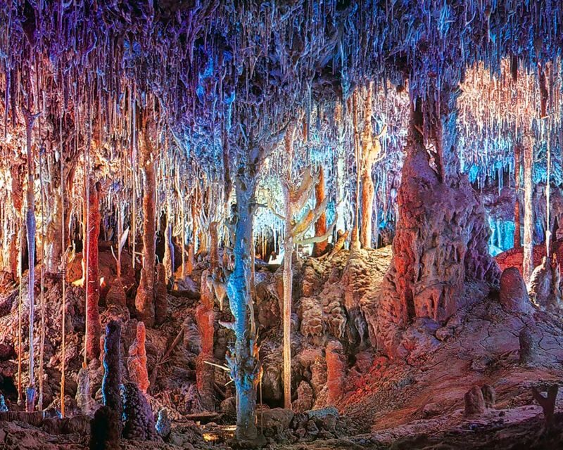 Mallorca: Dinosaurland and Caves of Hams Combined Ticket - Combining Two Very Different Attractions