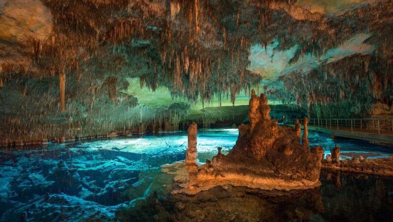 Mallorca: Drach and Hams Caves, and Porto Cristo Day Tour - The Overall Value and Who It’s For