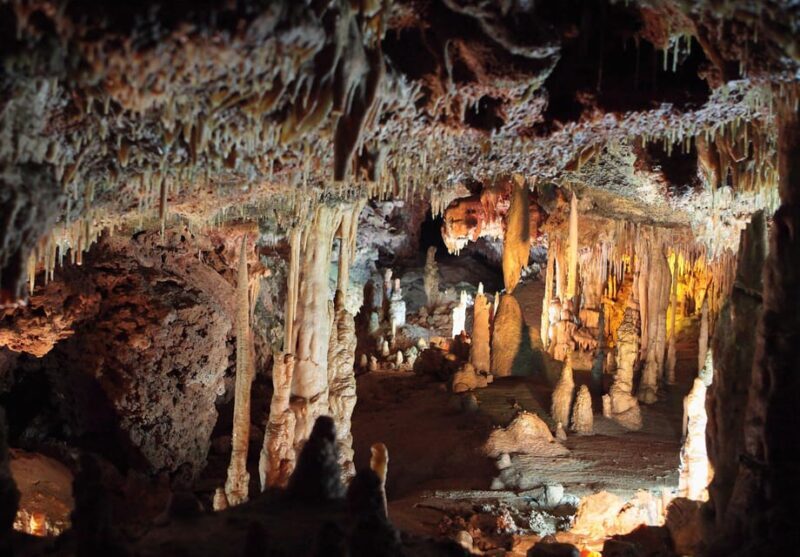 Mallorca: Drach and Hams Caves, and Porto Cristo Day Tour - Final Thoughts