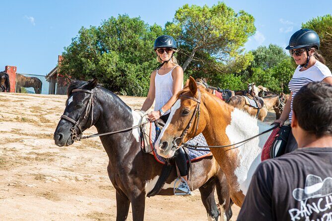 Mallorca Evening Tour: Horseback Riding, Dinner and Dance - Value for Money and Practical Considerations