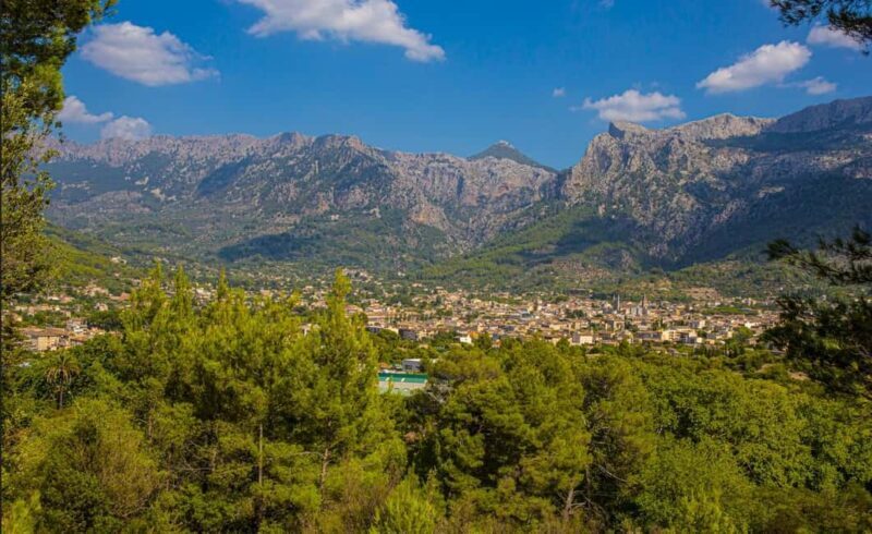 Mallorca: Exclusive Soller Train and Tram Half-Day Tour - Practical Tips for Travelers