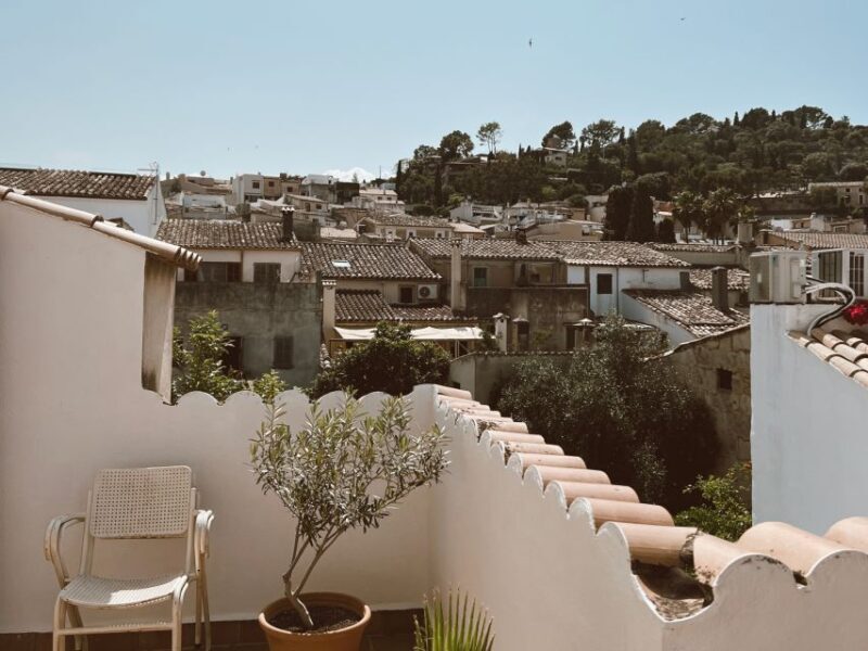 Mallorca: Gastronomic Wine Tasting & Local Delicacies - Final Thoughts: Is This The Mallorca Experience for You?