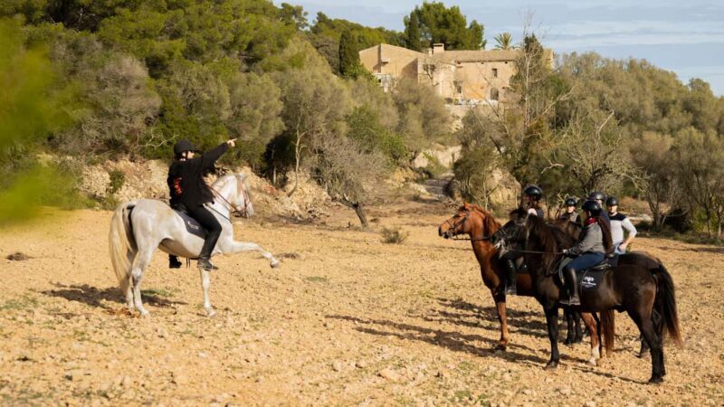Mallorca: Guided Horseback Ride in Randa Valley - An Authentic Way to Explore Mallorca’s Natural Beauty