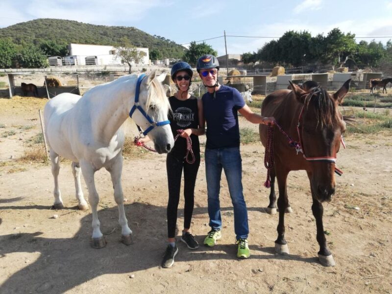 Mallorca: Guided Horseback Ride in Randa Valley - Reviews and Personal Experiences