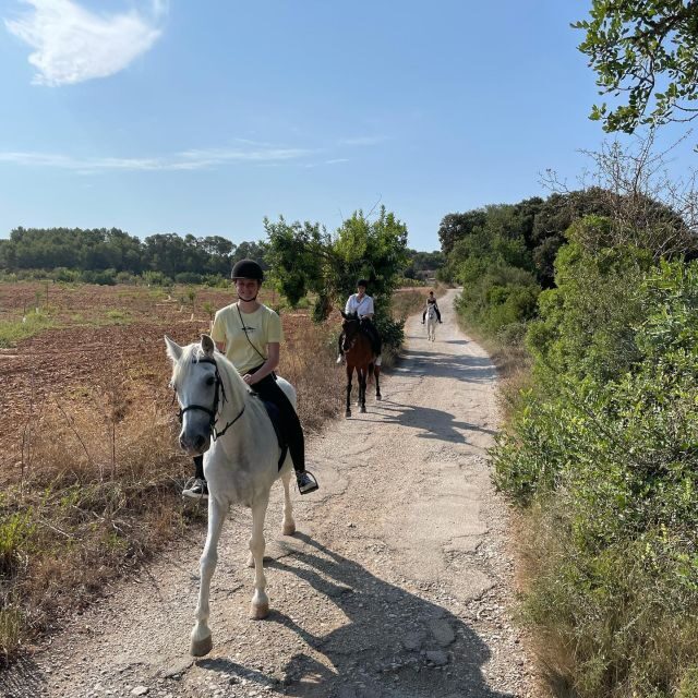 Mallorca: Guided Horseback Ride in Randa Valley - Practical Details