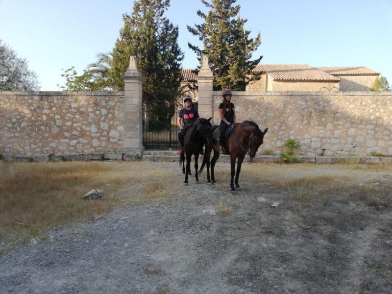 Mallorca: Guided Horseback Ride in Randa Valley - Who Will Love This Tour?