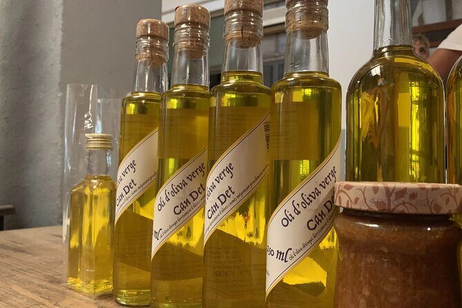 Mallorca Hidden Marvels: Guided Routes for Small Groups - Real Traveler Insights