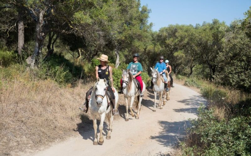 Mallorca: Horseback Riding Excursion and Wine Tasting - What to Expect from the Mallorca Horseback and Wine Tour