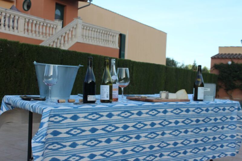 Mallorca: Horseback Riding Excursion and Wine Tasting - Final Thoughts