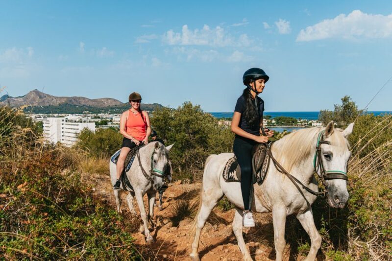 Mallorca: Horseback Riding Experience with Food Options - The Breakdown of the Experience