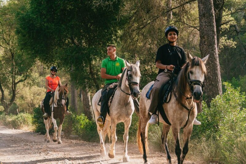 Mallorca: Horseback Riding Experience with Food Options - Overall Value and Who Will Love It