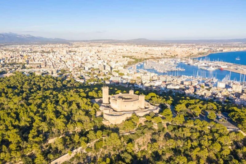 Mallorca: Instafamous Tour of Palma and North coast - Who Is This Tour Best For?