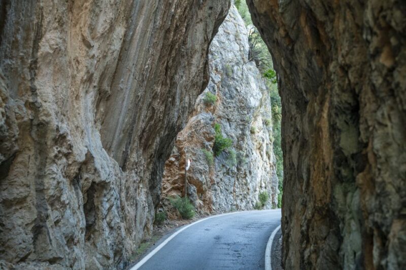 Mallorca: Island Tour with Boat, Tram & Train from the South - Guides and Overall Experience