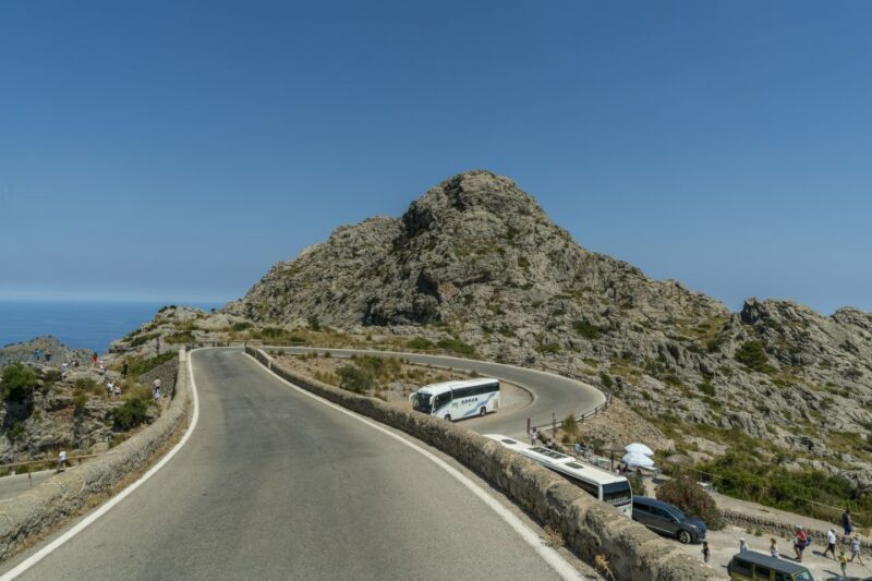 Mallorca: Island Tour with Boat, Tram & Train from the South - Value for Money