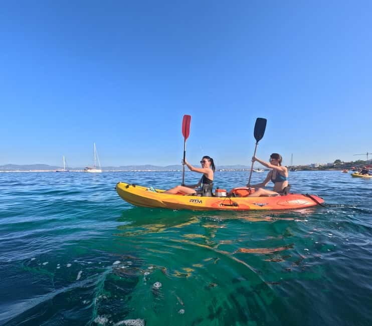 Mallorca: Kayak Rental - Key Points