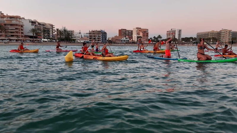 Mallorca: Kayak Rental - Who Will Love This Experience?