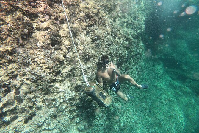 Mallorca: Kayaking, Sea Cave, Cliff Jumping & Snorkel Tour - An In-Depth Look at the Tour Experience