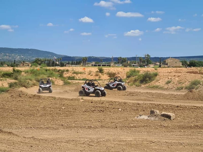 Mallorca Kids Buggy - Authentic Insights from Reviews