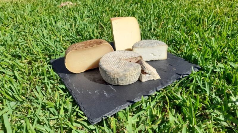 Mallorca: Local Wines & Foods Tasting - An Introduction to Mallorca’s Local Flavors