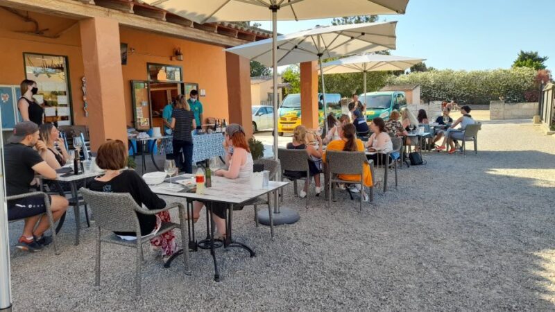 Mallorca: Local Wines & Foods Tasting - Practical Details and Tips