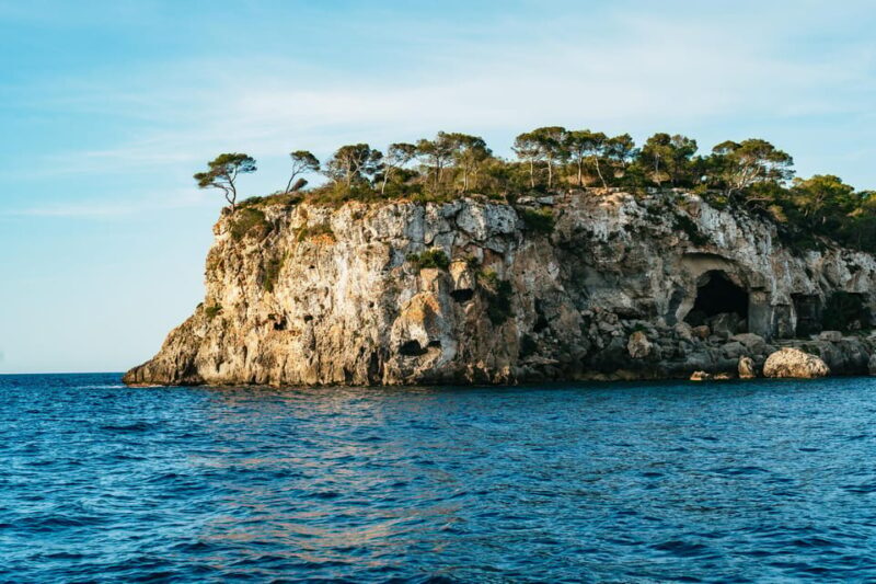 Mallorca: Midday or Sunset Sailing with Snacks and Open Bar - Who Will Love This Tour