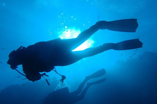 Mallorca: Open Water Diver Course - Key Points