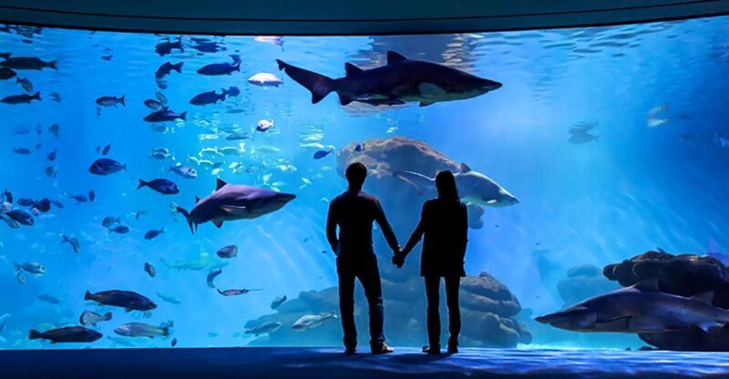 Mallorca: Palma Aquarium Entry Ticket w/ Optional 3D Cinema - Family-Friendly Activities and Interactive Experiences