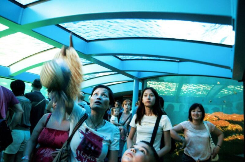 Mallorca: Palma Aquarium Entry Ticket w/ Optional 3D Cinema - The Experience for Different Travelers