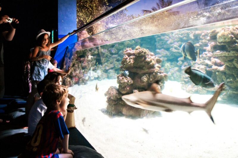 Mallorca: Palma Aquarium Entry Ticket w/ Optional 3D Cinema - Authentic Encounter and Conservation Focus