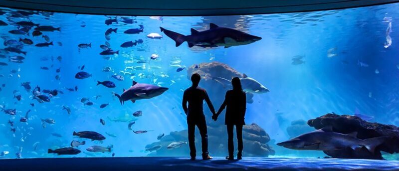 Mallorca: Palma Aquarium Entry Ticket w/ Optional 3D Cinema - The Sum Up: Is Palma Aquarium Worth It?