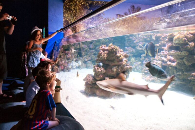 Mallorca: Palma Aquarium with Transfers, Guide & Fast Entry - Who Should Consider This Tour?
