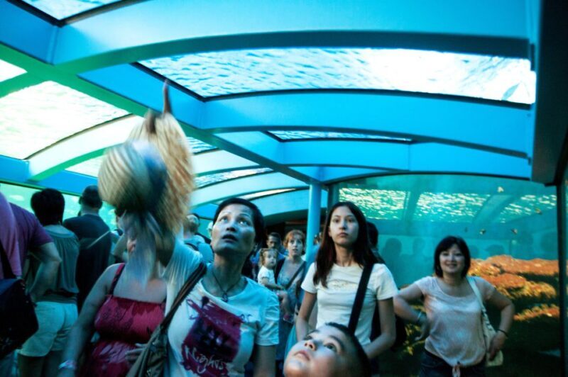 Mallorca: Palma Aquarium with Transfers, Guide & Fast Entry - FAQ