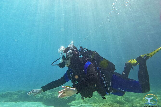 Mallorca PRIVATE Reservation*Scuba dive + photo/video - Who Should Consider This Tour?