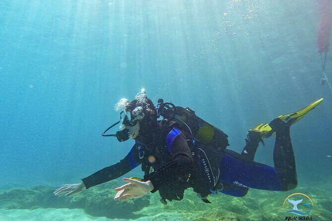 Mallorca PRIVATE Reservation*Scuba dive + photo/video - FAQs