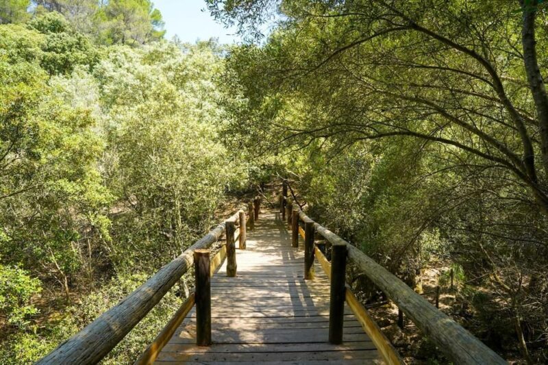Mallorca : Reserva Park Entry ticket with Nature & animals - Key Points